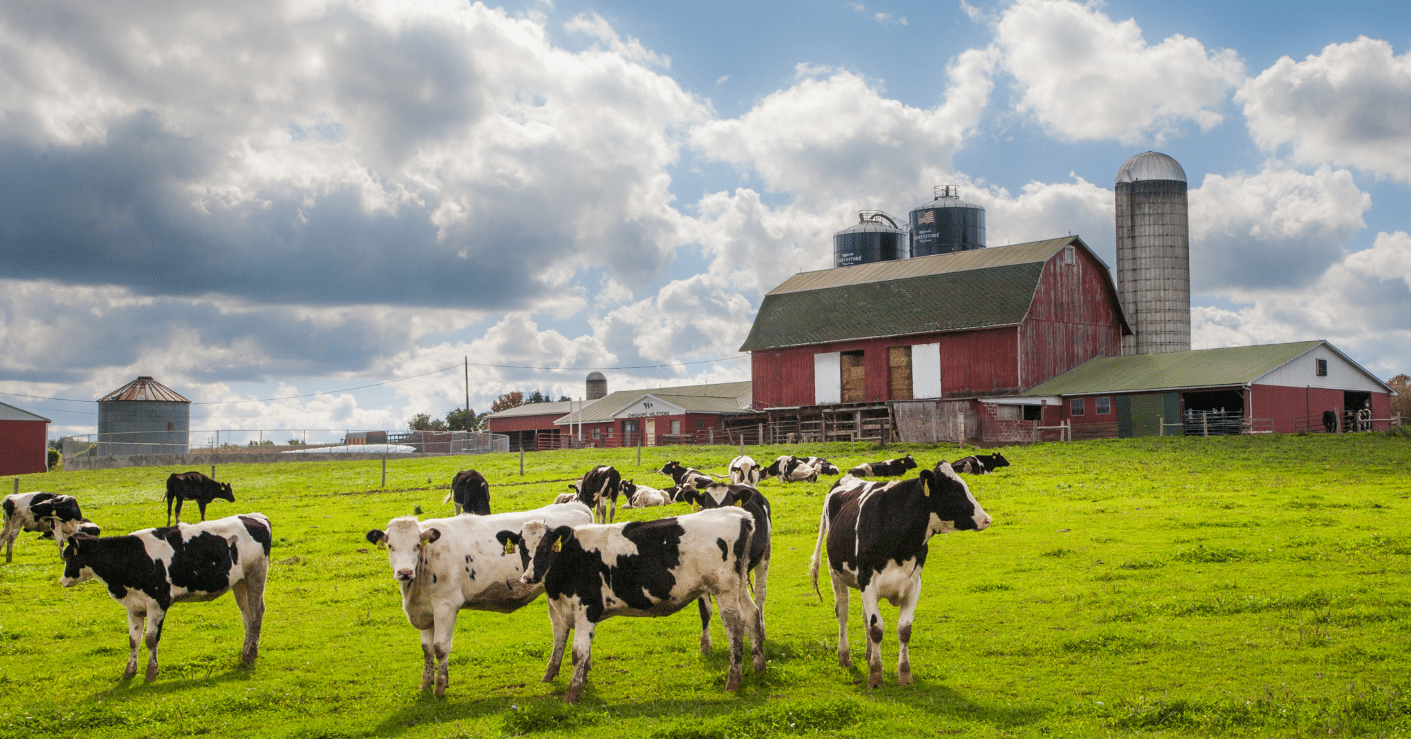 Decoding the EPA’s Draft Sewage Sludge Risk Assessment - Kleinfelder